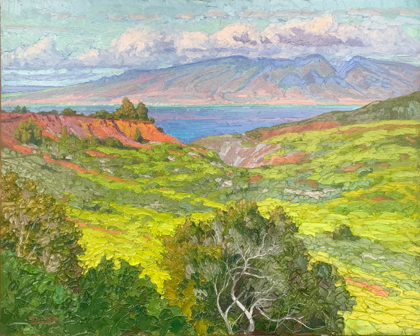 Billyo O'Donnell: Across The Valley - Mike Carroll Gallery